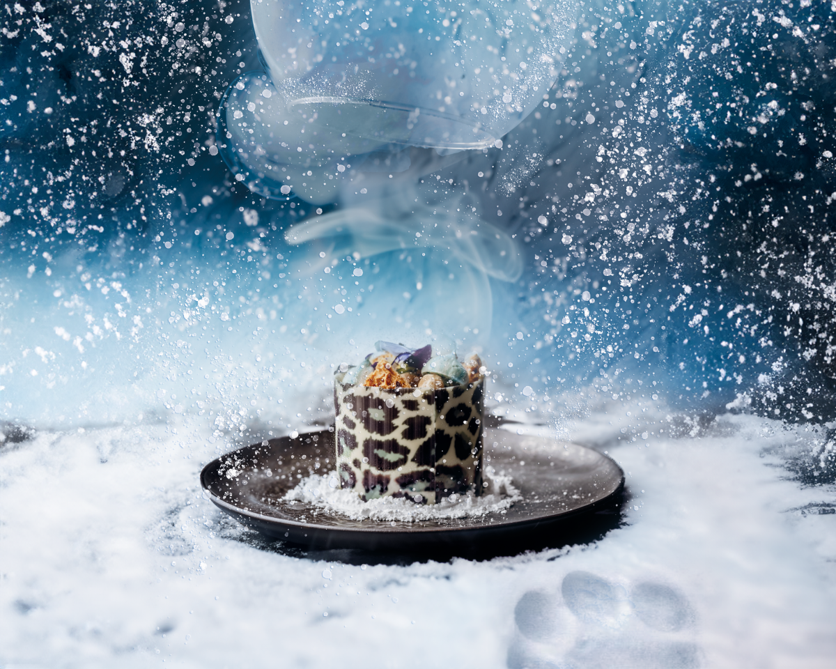 David Shepherd Wildlife Foundation Partnership