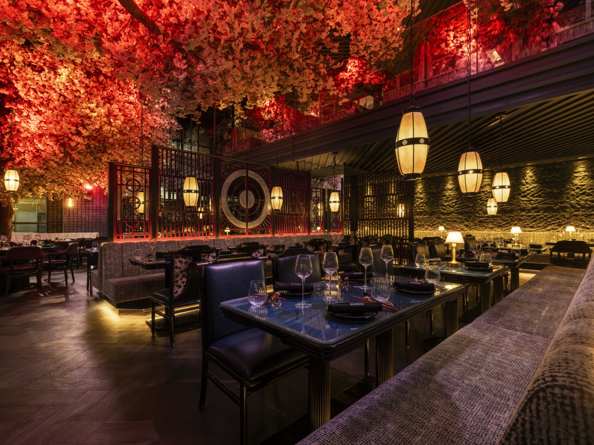 Contemporary Chinese Restaurants - Tattu Restaurant & Bar